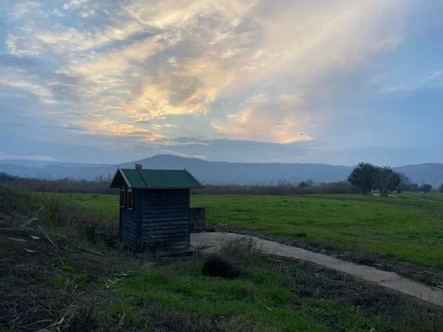 Hula Valley Israel - Breathtaking Nature Reserve Galilee | Slava Guide ...